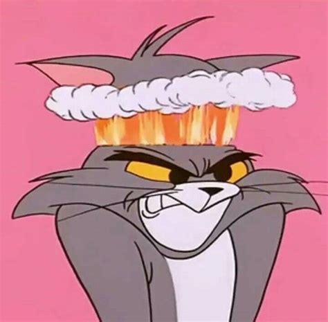 Tổng Hợp 218 Meme Mèo Tom Huyền Thoại Hài Hước đỉnh Cao