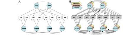 confirmatory factor models panel a is a sample path diagram of the