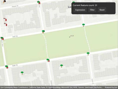 Filter By Definition Expression Or Display Filter Arcgis Maps Sdk For