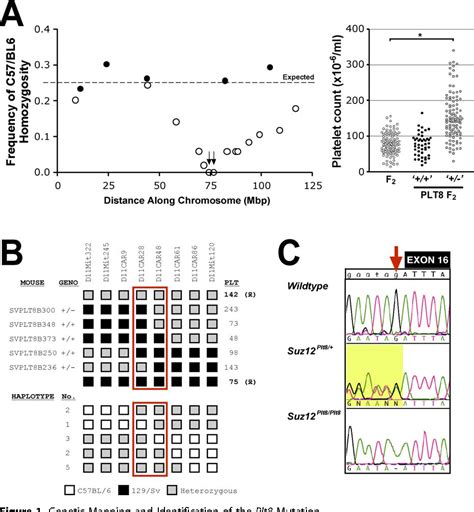 Figure 1 From Polycomb Repressive Complex 2 Prc2 Restricts