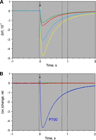 Determination Of Differential Model Plot Of P P DMP Download Scientific Diagram