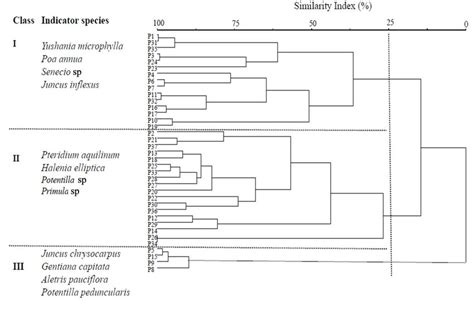 cluster dendrogram of herbs showing similarity index arbitrarily