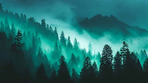 Forest Green Desktop Wallpapers Wallpaper Cave