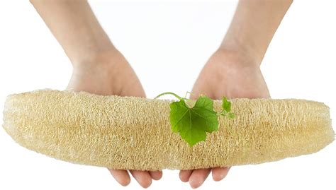 Natural Loofah Exfoliating Body Sponge Scrubber Back Scrubber Made