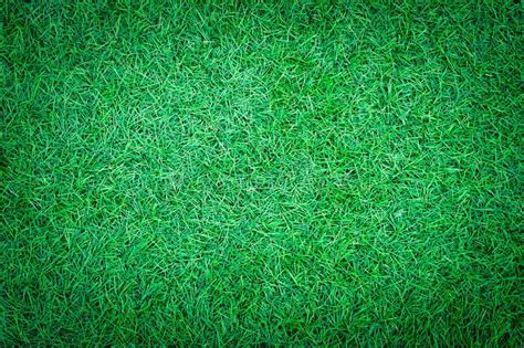 Abstract Texture Of Green Grass Yard Background Stock Image Image Of