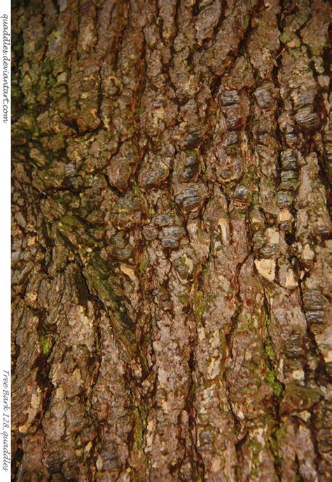 Tree Bark 128 Quaddles 150th Wood Texture By Quaddles On DeviantArt