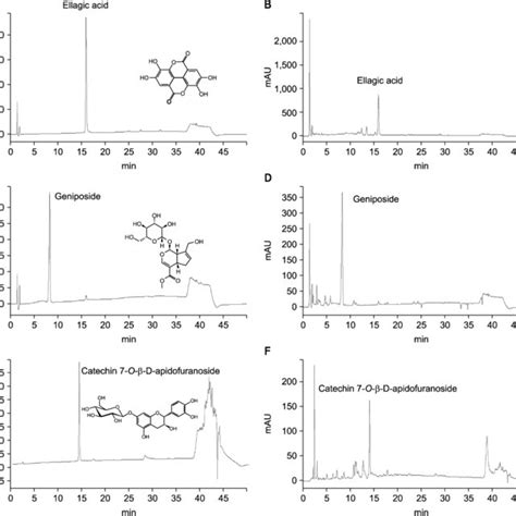 High Performance Liquid Chromatography Diode Array Detector