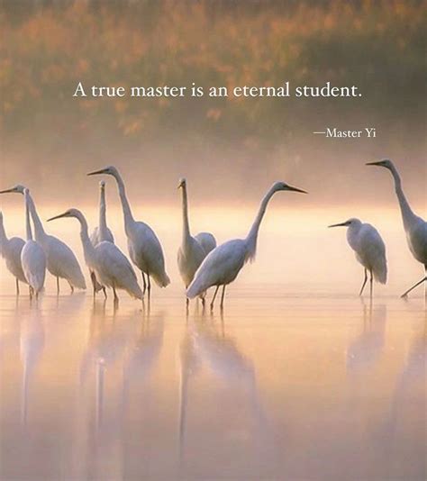 Proactive Motivation Learninganddevelopment Selfcare Patience