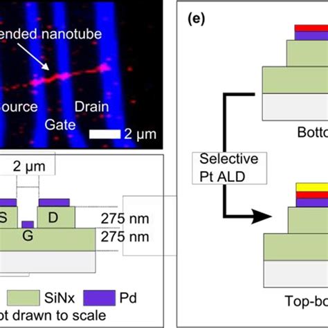 A Scanning Electron Microscope Sem Image Representing A Fet Based