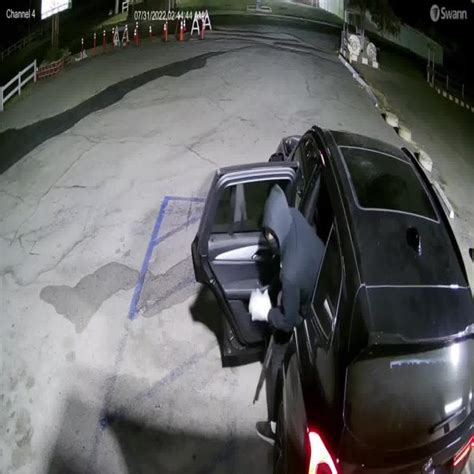 Thief Vision Object Detection Dataset V1 2023 11 29 8 03pm By Universidad Del Valle De Mexico