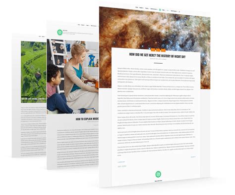 All In One Divi Web Design Solution With Divi Plus And Flexile Theme