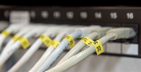 Computer Ethernt Data Lan Cables In A Row Stock Photo Image Of Detail Internet 75710572