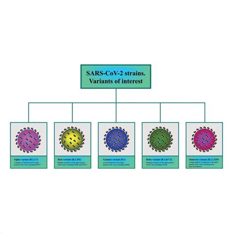 Variants Of Concern Variant Of Interest Sars Cov 2 Variants 25562277