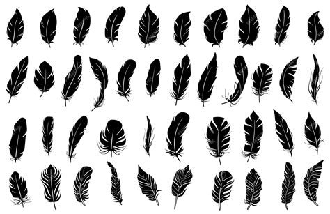 Premium Vector Feather Icons Set Of Different Black Feather Icons