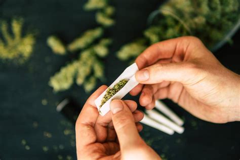 Mariguana La Droga Preferida En Primarias Y Secundarias De Piedras Negras