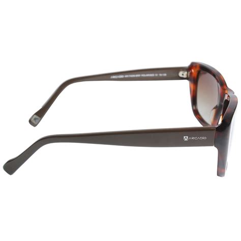 Alley Modified Cat Eye Sunglass For Women Ar174 Arcadio