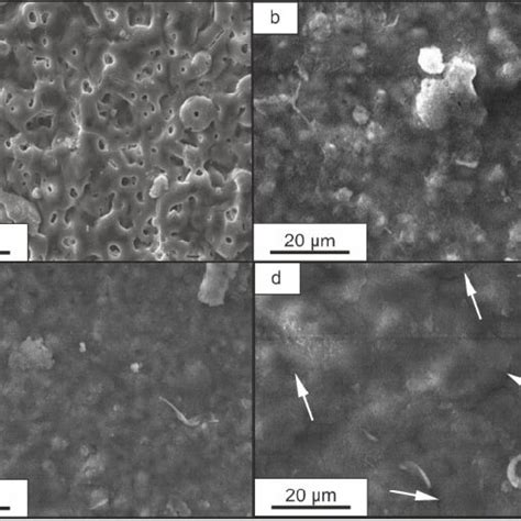 Sem Image Of A Cross Section Of A Composite Coating With Eds Mapping Of