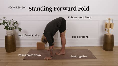 Standing Forward Fold Uttanasana Release And Rejuvenate