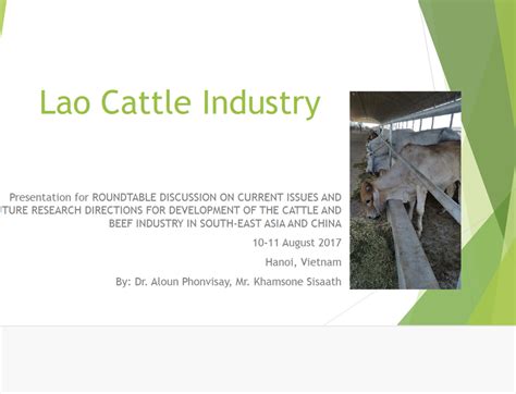 archived presentations asia beef network