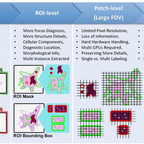 Details Of The Five Different Types Of Annotations In Computational Download Scientific Diagram