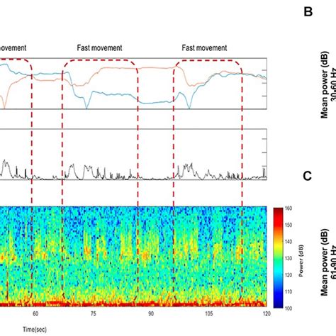 High Gamma Oscillations In The Rat Nucleus Accumbens Are Independent Of