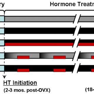 Experimental Design Of HT Download Scientific Diagram