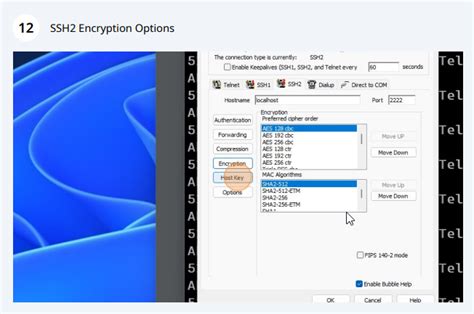 Absolutetelnet Connection Options Celestial Software