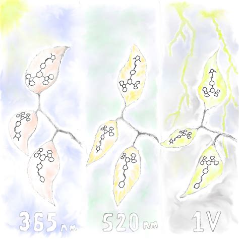 Multi‐responsive Electropolymer Surface Coatings Based On Azo Molecular Switches And Carbazoles
