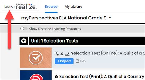 Using The Lti A Canvas Lms Integration With Realize