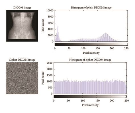 Histograms Of Plain D 3 And Encrypted Dicom Sample Ed 3 Download Scientific Diagram