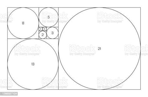 Fibonacci Sequence Of Circles Golden Ratio Geometric Concept Vector ...