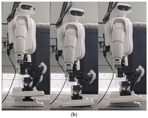 A Spring Compensation Method For A Low Cost Biped Robot Based On Whole