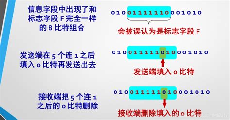 计算机网络（36）数据链路层 Ppp 协议的帧格式和工作状态ppp协议地址字段不起作用 Csdn博客