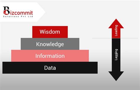 How The Data Pyramid Transforms Data Into Insights Bizcommits Posted
