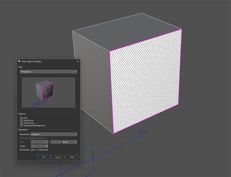 Custom Section Style Dont Show Up On Capture Viewport Rhino For