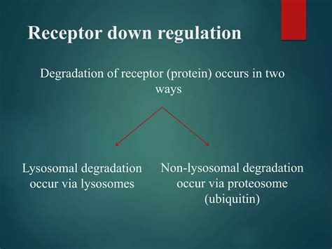 Receptor Down Regulation Pptx