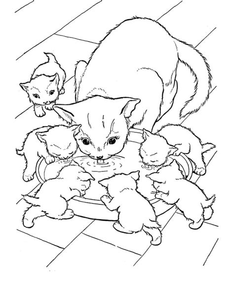 85 раскрасок с кошками и котятами