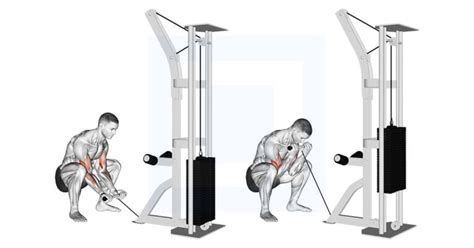 Dumbbell Close Grip Curl Guide Benefits And Form