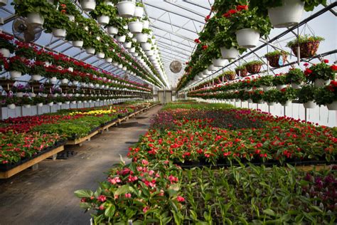 How To Choose The Best Greenhouse Materials To Extend Your Gardening Season • Insteading