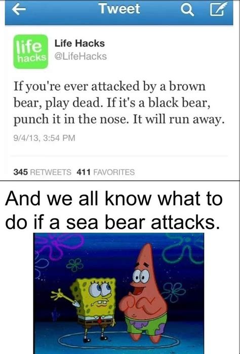 Spongebob Circle Memes