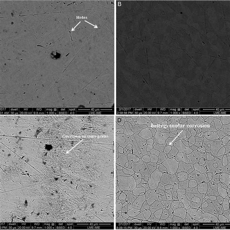 Optical Image Of The Microstructure Of The Etched 304l Stainless Steel Download Scientific