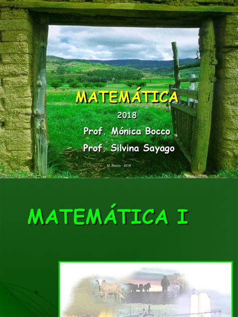 MatemÁtica Prof Mónica Bocco Prof Silvina Sayago M Bocco Descargar Gratis Pdf Función