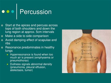 Chest Percussion Meaning In Telugu At Marilyn Blount Blog