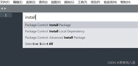 Sublime Text下载、安装、汉化教程 Csdn博客