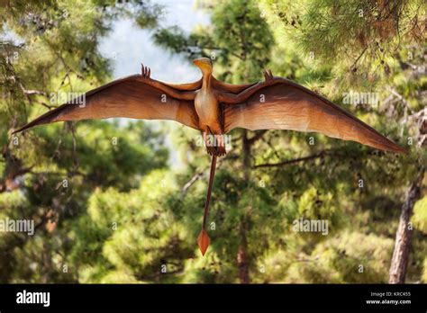 Pterodactyl Prehistoric Era Wing Dinosaur Flying At Forest Stock