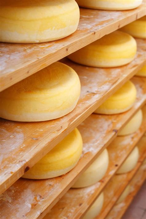 Cheese Object Detection Dataset By Julius Müller