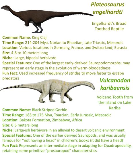 A Dinosaur A Day Game 5 Round 2 Plateosaurus Versus Vulcanodon