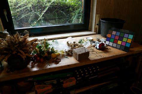 Example Of A Multiple Illuminant Scene With Light Coming Both From The Download Scientific