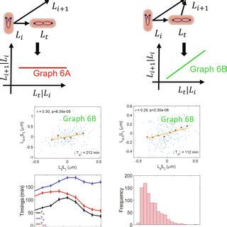 Control Of Replication Initiation A A Causal Graph Linking The Download Scientific Diagram