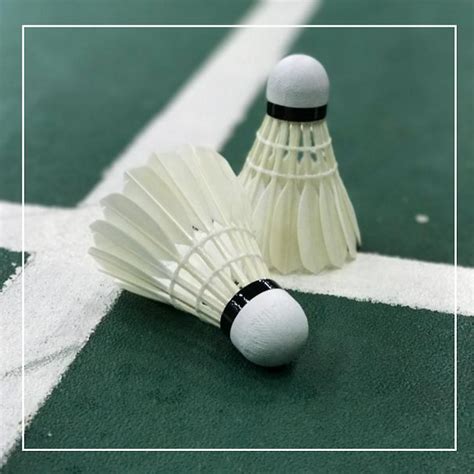 하루 한 잔으로 뇌졸중과 치매 모두 잡는 기적의 차는 이것 똑똑건강